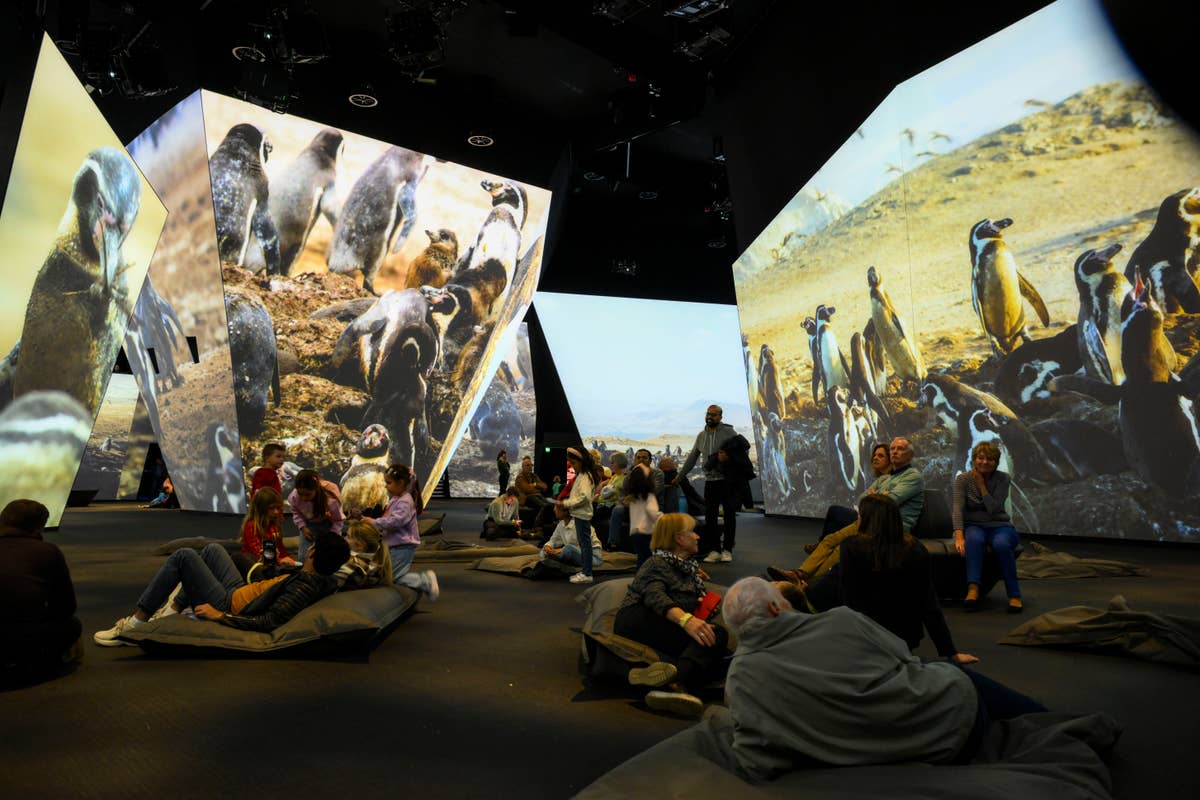 BBC EARTH EXPERIENCE EXTENDS ITS CAPTIVATING JOURNEY IN LONDON UNTIL ...
