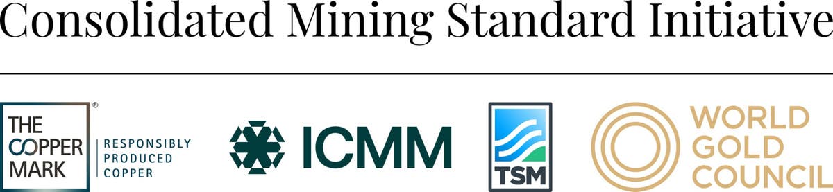 The Consolidated Mining Standard Initiative launches first public ...