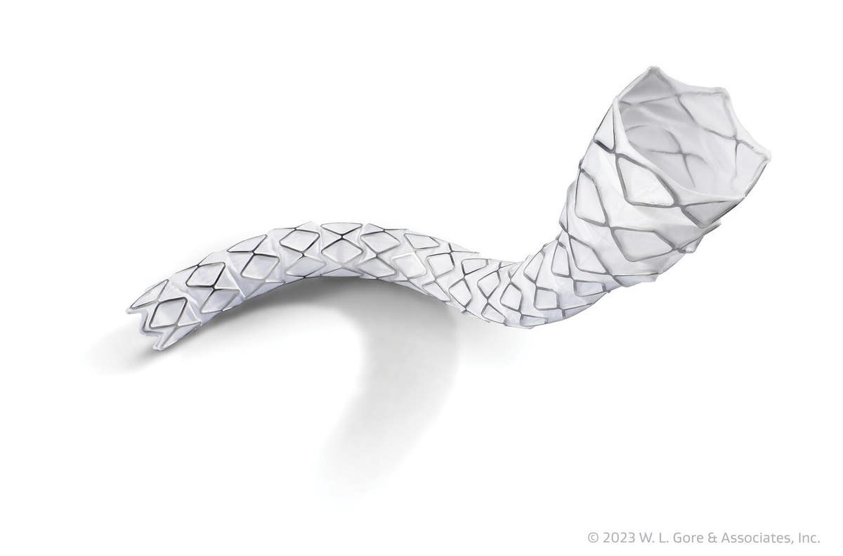 W. L. GORE & ASSOCIATES, INC. RECEIVES CE MARK FOR LOWER PROFILE GORE ...