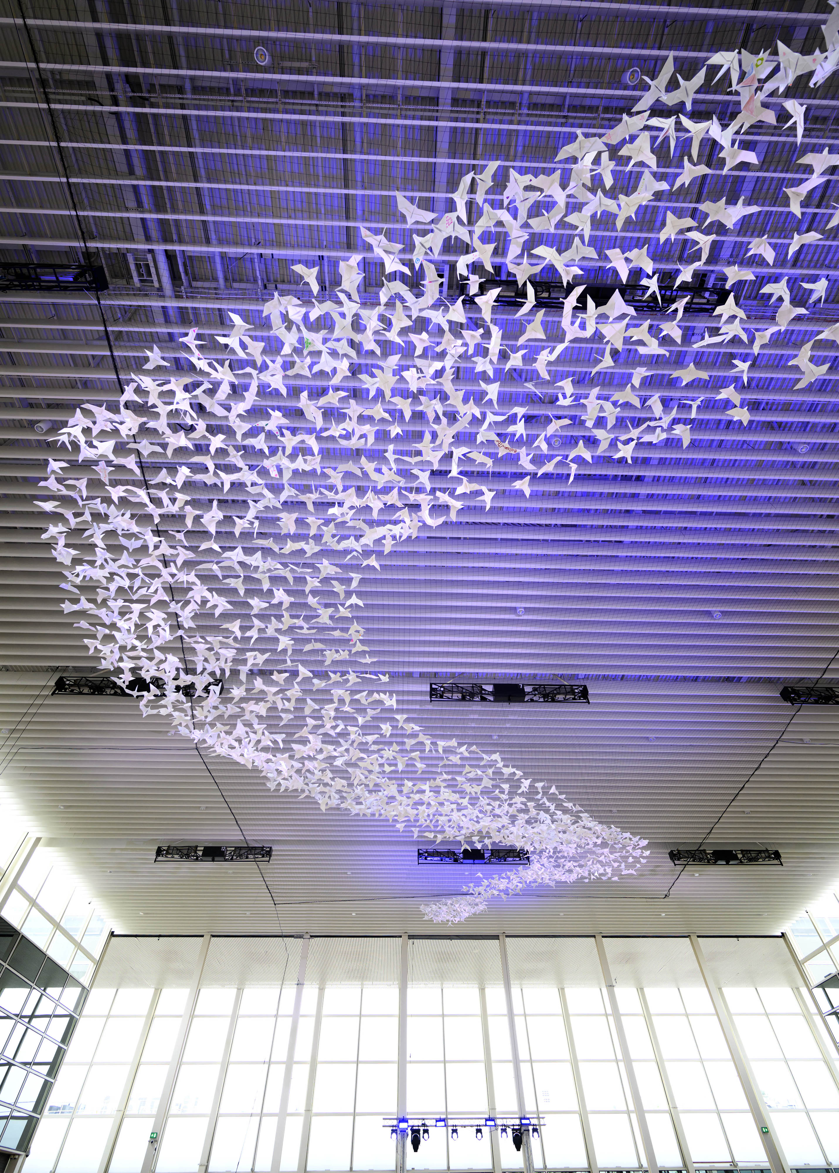 Peace takes flight at centre:mk in Milton Keynes: Thousands of origami ...